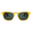 Gafas de sol MR BOHO JORDAN HONEY AP11 | VisionLab!
